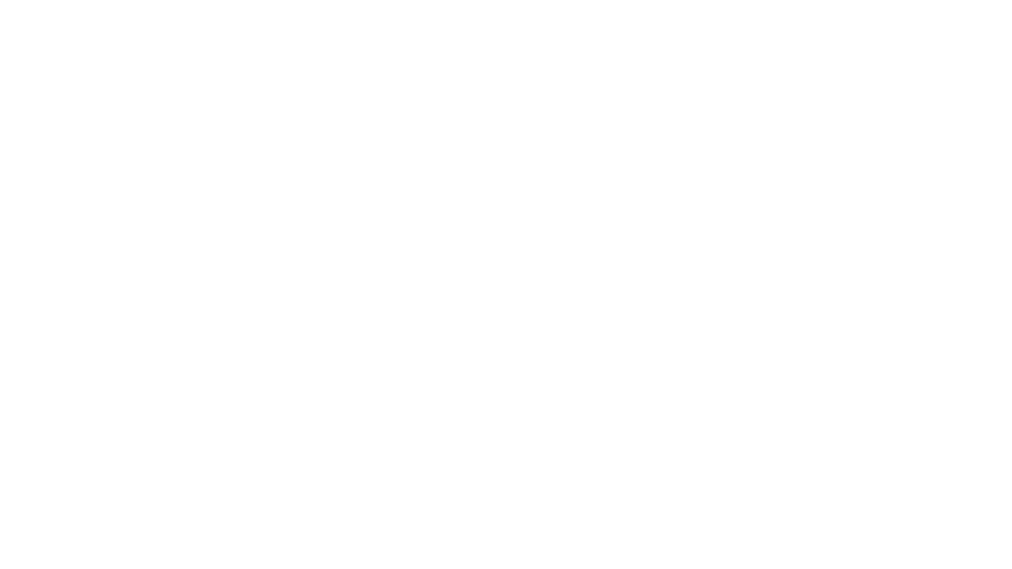 Butler National Corporation