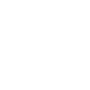 Butler National Corporation